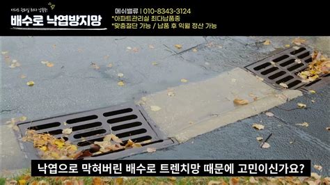 배수로 낙엽방지망 인테리어망 플라스틱망 Pe망 낙엽거름망 Youtube