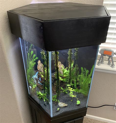 I Hate The Light Pollution From Closed Topped Aquariums So I Built A