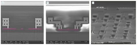 Tem And Sem Characterizations Of The Beol And Far Beol A A Deep Rib