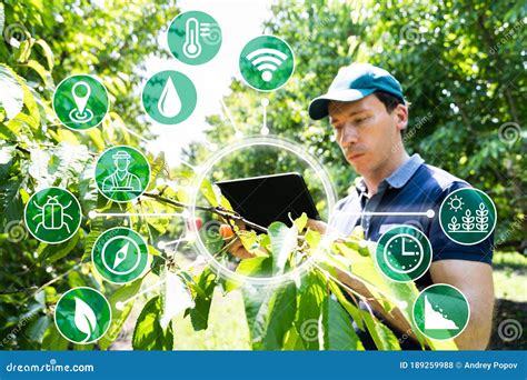 Smart Farming Concept Drone Use A Technology In Agriculture Wit Royalty Free Stock Photography