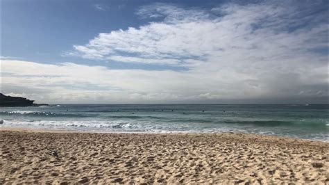 一夜火爆全网魔性16步舞蹈神曲《弹棉花》dj广场舞 弹棉花轻音乐慢摇 Youtube