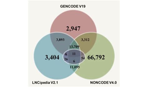 Community Curated Database For Lncrna Asian Scientist Magazine