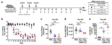 Recombinant Staphylococcus Aureus Enterotoxin B Seb Dag Wt627