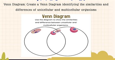 Venn Diagram Create A Venn Diagram Studyx