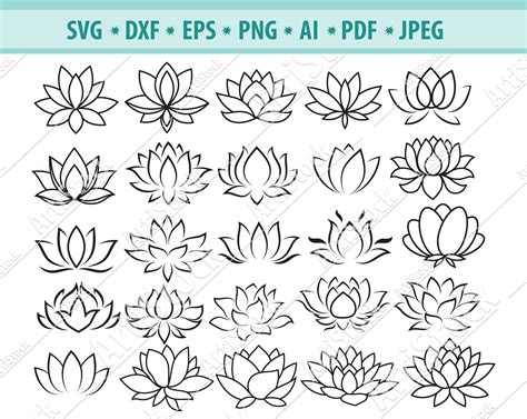 Lotus Svg Lotus Clipart Lotus Flower Flower Svg Floral Etsy Lotus