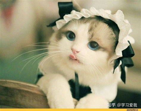 请问下载python出现“pythonexe可能损害你的设备”该怎么办？ 知乎