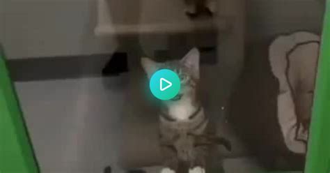 The Case When You Need To Pick Up Both Album On Imgur