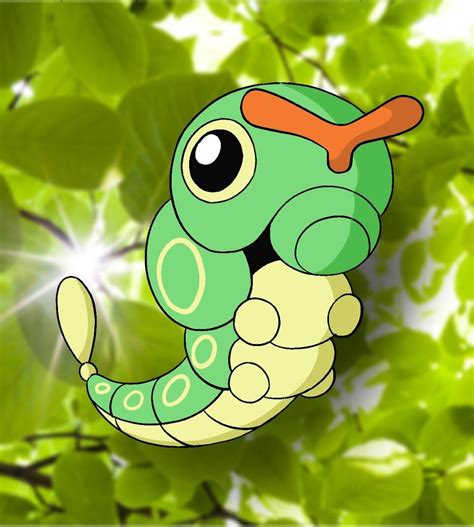How To Draw Caterpie Pokemon Draw Central Caterpie Anime Caterpie