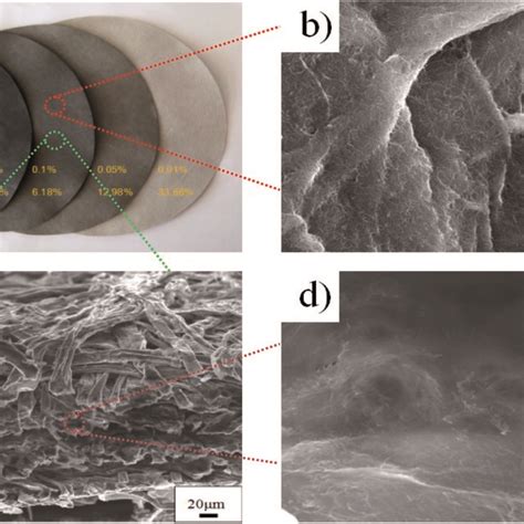 Morphologies Of Paper Impregnated With Different Multi Walled Carbon