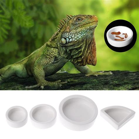 Ceramics Reptile Feeder Water Food Dish Feeding Bo Vicedeal