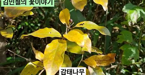 김민철의 꽃이야기 다시 걷고싶은 길 고창 운곡습지 탐방로