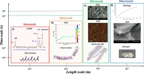 Sbp Multiscale Modeling A Full Understanding Of The Hierarchical