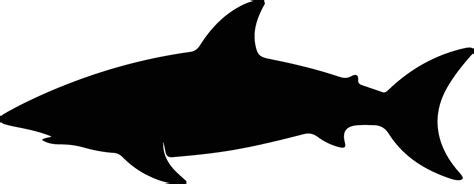 Baskingshark Black Silhouette 38099800 Vector Art At Vecteezy