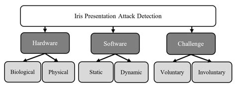 Iris Liveness Detection Approaches — Antispoofing Wiki