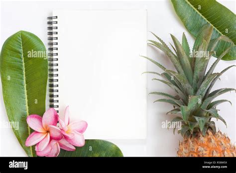 Tropical Top View Summer Botanical Concept Still Life Pineapple