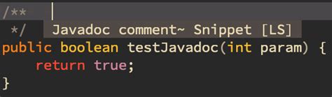 Completing Should Generate Javadoc With Params · Issue 1