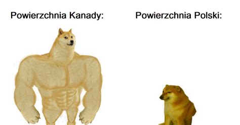 Wielki Ale Pizda