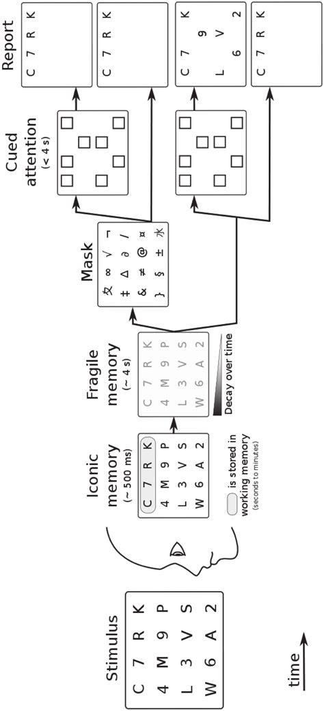 the structure of visual short term memory a rich representation of a