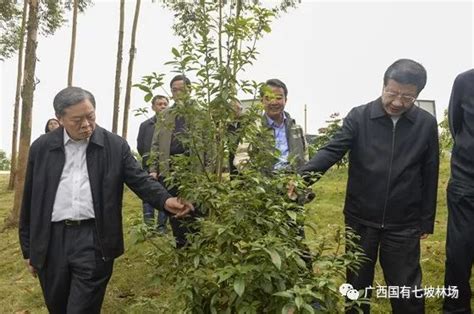 国家林业局局长张建龙到七坡林场调研国家储备林基地建设