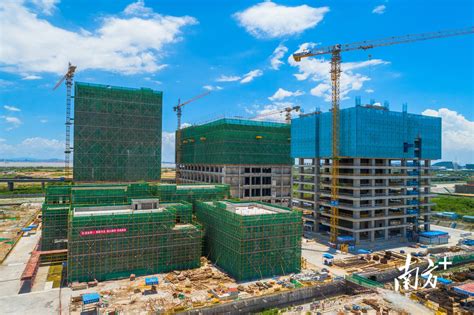 东莞权威访谈罗斌：滨海湾深度参与“黄金内湾”建设，打造制度型开放高地南方plus南方