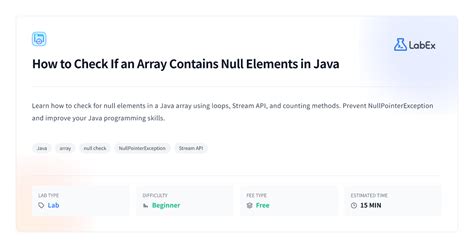 How To Check If An Array Contains Null Elements In Java Labex