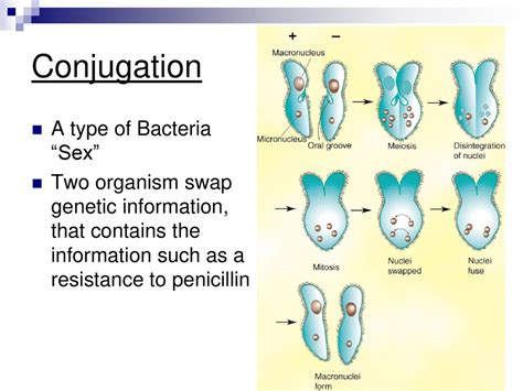 More Than You Wanted To Know Ppt Download