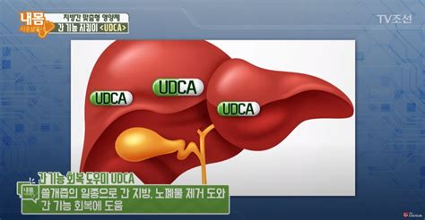 우루사 100mg 가격 약국 효능 복용법 부작용 처방 꿀팁매거진
