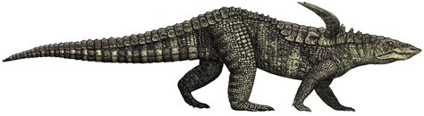Evolution Of Archosaurs Nyk Daily