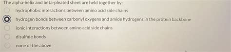 Solved The Alpha Helix And Beta Pleated Sheet Are Held