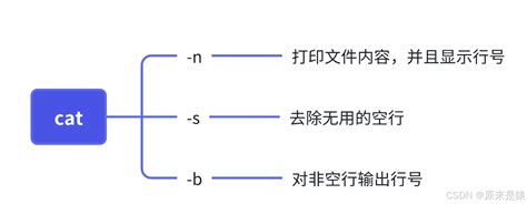linux基础指令【下】 csdn博客