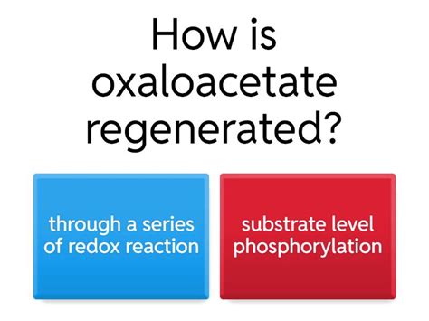 Krebs Cycle Or Tca Cycle Quiz