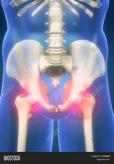 Hip Image Photo Free Trial Bigstock