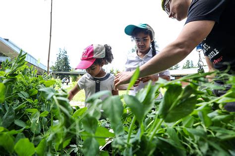 Get It Growing Soil Temperature Can Tell You When To Plant Vegetable