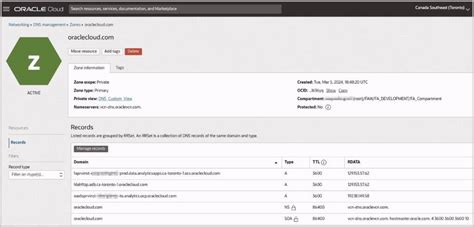 deploy dns components for oracle fusion analytics service endpoints