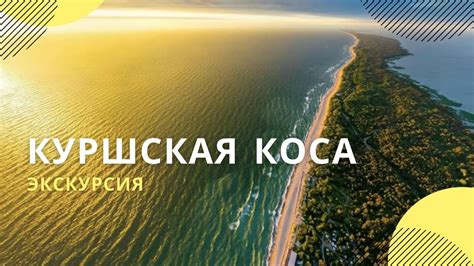 Куршская коса: достопримечательности | Экскурсия по национальному парку ...