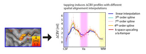 Unwanted Spatial Blurring During Resampling Layer Fmri Blog