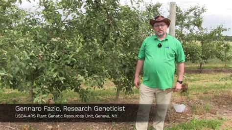 Usda Ars Apple Rootstock Genetics Research Grin U