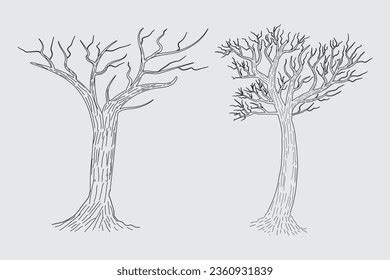 Tree Drawing No Leaves Royalty Free Images Stock Photos Pictures Shutterstock