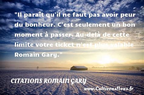 Gratuit 49 Peur Du Bonheur Citation Memedolci