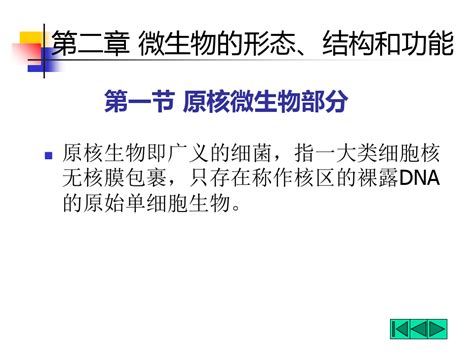 微生物的形态word文档在线阅读与下载无忧文档