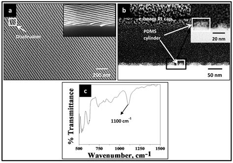 Polymers Special Issue Advances In Polymer Brushes