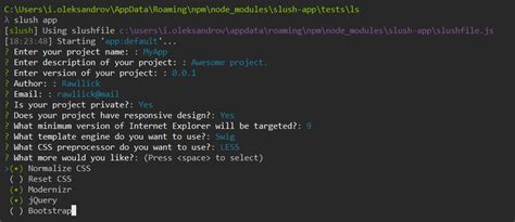 Npm Slush App Skypack