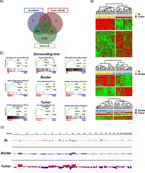 Transcriptomic And Genomic Profiles Of The Different Regions A Venn