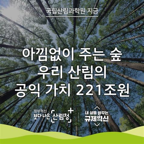 국립산림과학원 지금 아낌없이 주는 숲 우리 산림의 공익적 가치 221조원 네이버 블로그