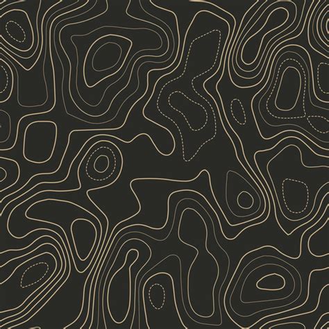 Topography Map Telifsiz Stok Vektörler