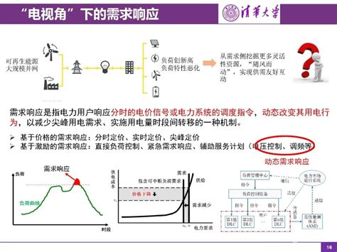 清华大学 杜尔顺：碳视角下电力系统的碳分析与碳优化