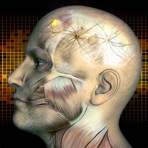 Nlp Course Online Learn Neuro Linguistic Programming