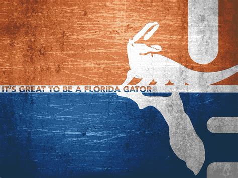 100 Florida Gators Wallpapers
