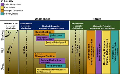 Conceptual Diagram Describing Patterns In Level 3 Subsystems Observed Download Scientific