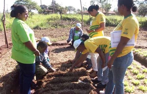Curso de técnico em agronegócio tem vagas e inscrições vão até dia Empregos Campo